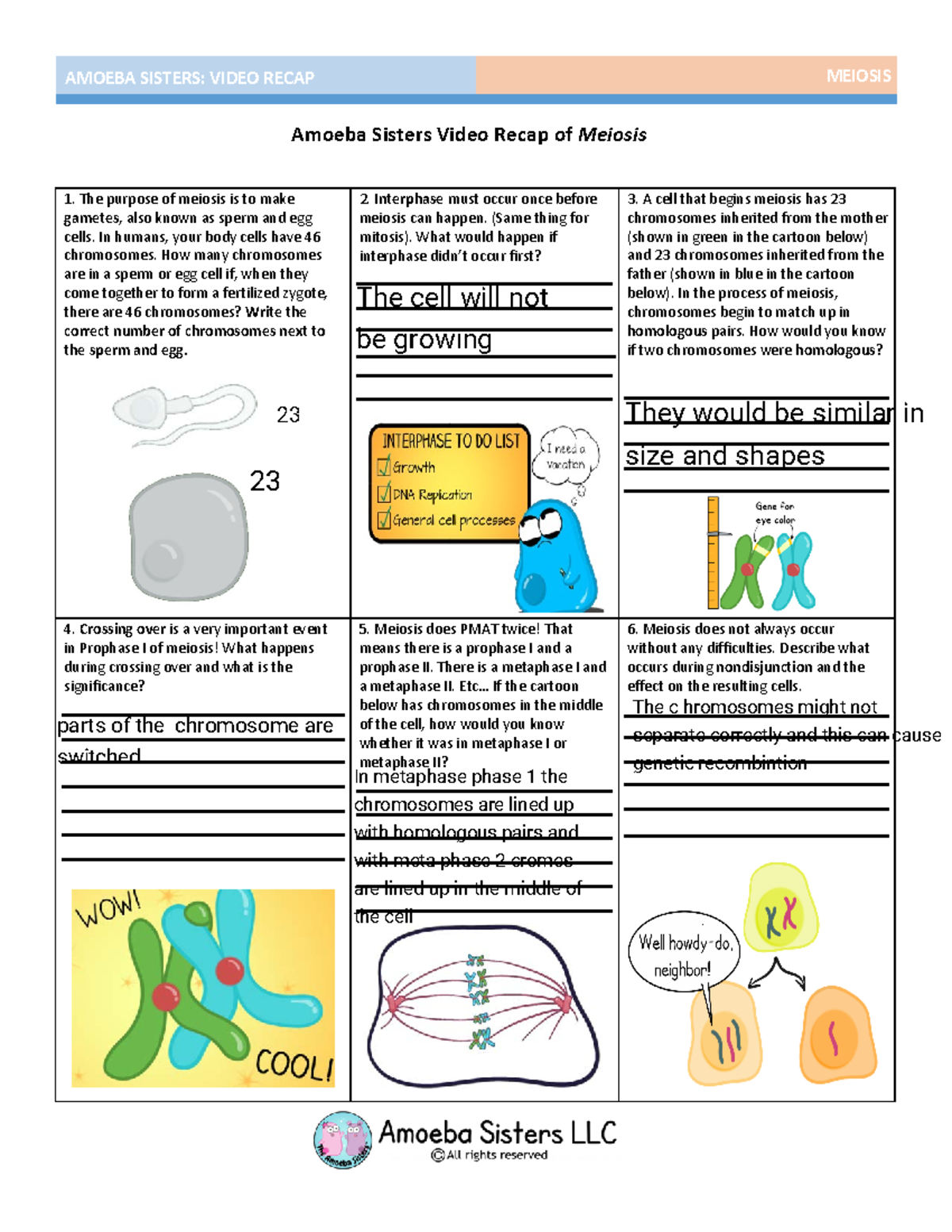 Amoeba Sisters - Video Recap of Meiosis: Key Concepts Explained - Studocu