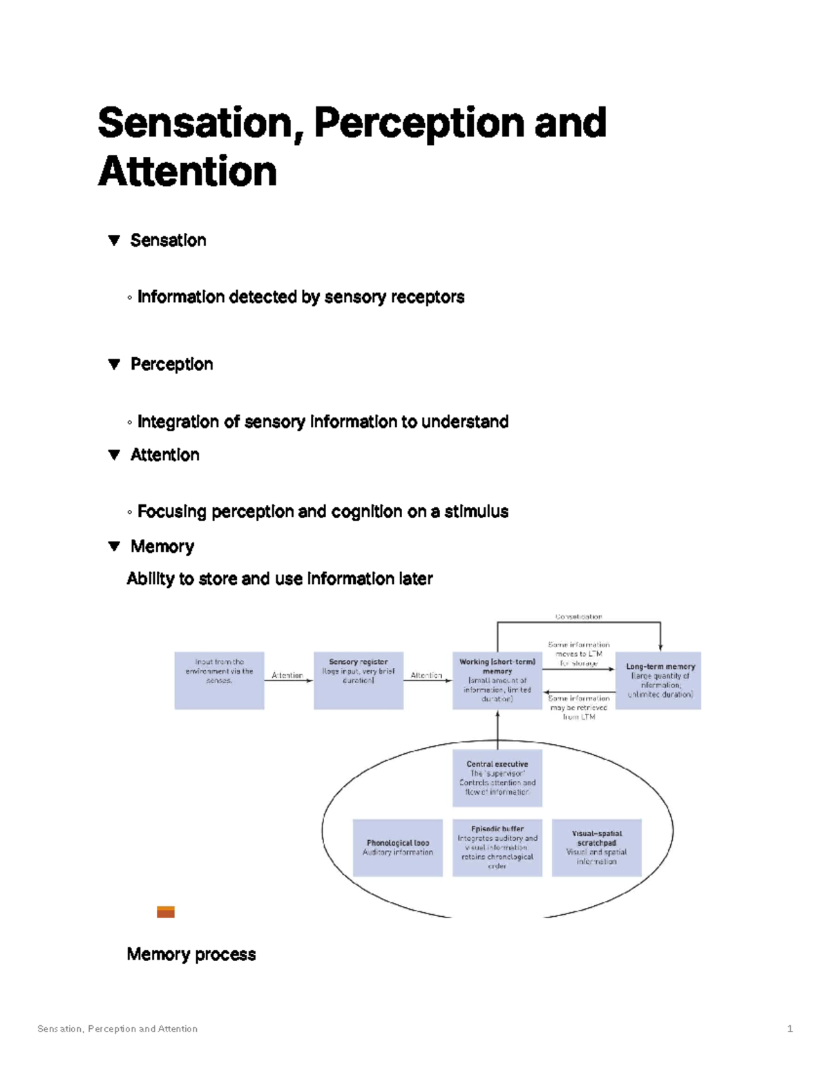 Sensation, Perception, and Attention: Key Concepts and Development ...