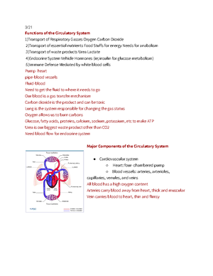 Physio Ex Cardiovascular Physiology Lab - PhysioEx Cardiovascular ...