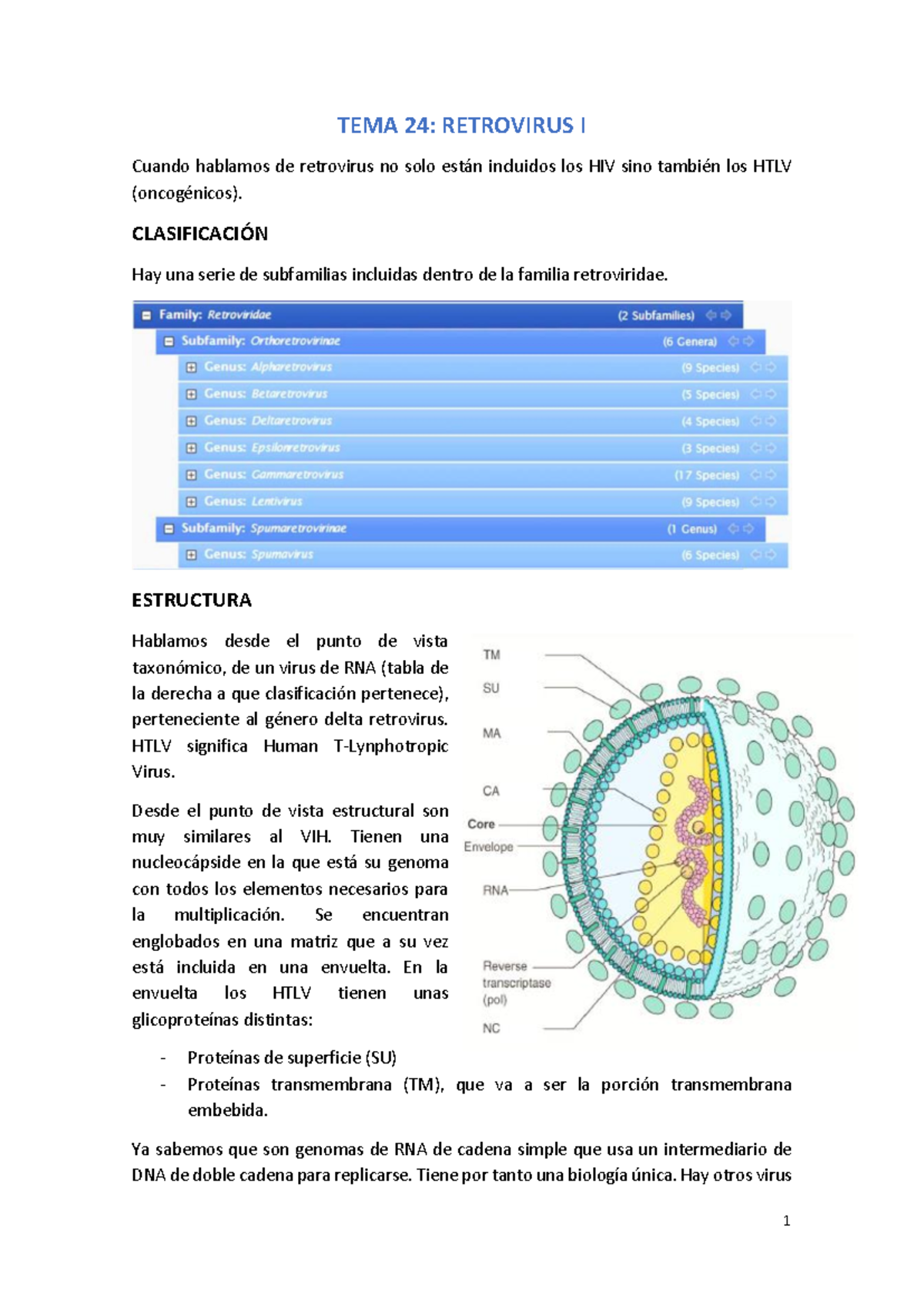 TEMA 24 - Biomedicina US - Warning: TT: undefined function: 32 Warning: TT: undefined function ...