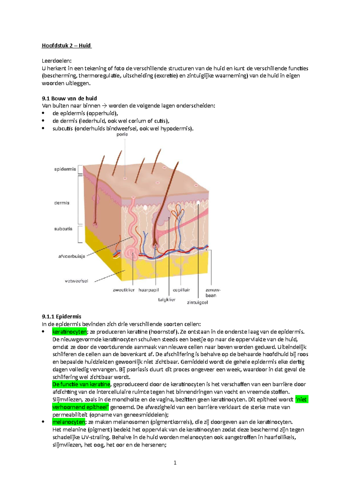 Hoofdstuk 2: Huid en Thermoregulatie - Anatomie en Functies - Studeersnel