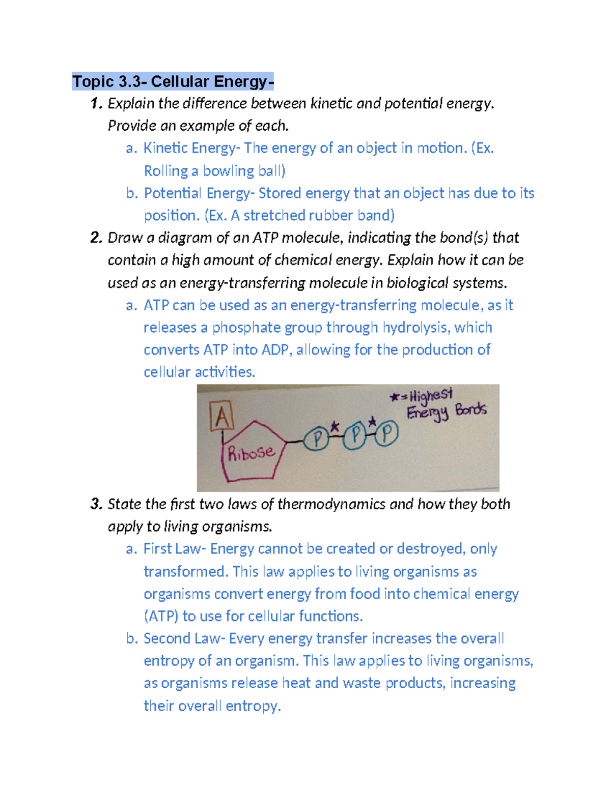 Unit 3 - Study Guide: Cellular Energy, Enzymes, Photosynthesis ...