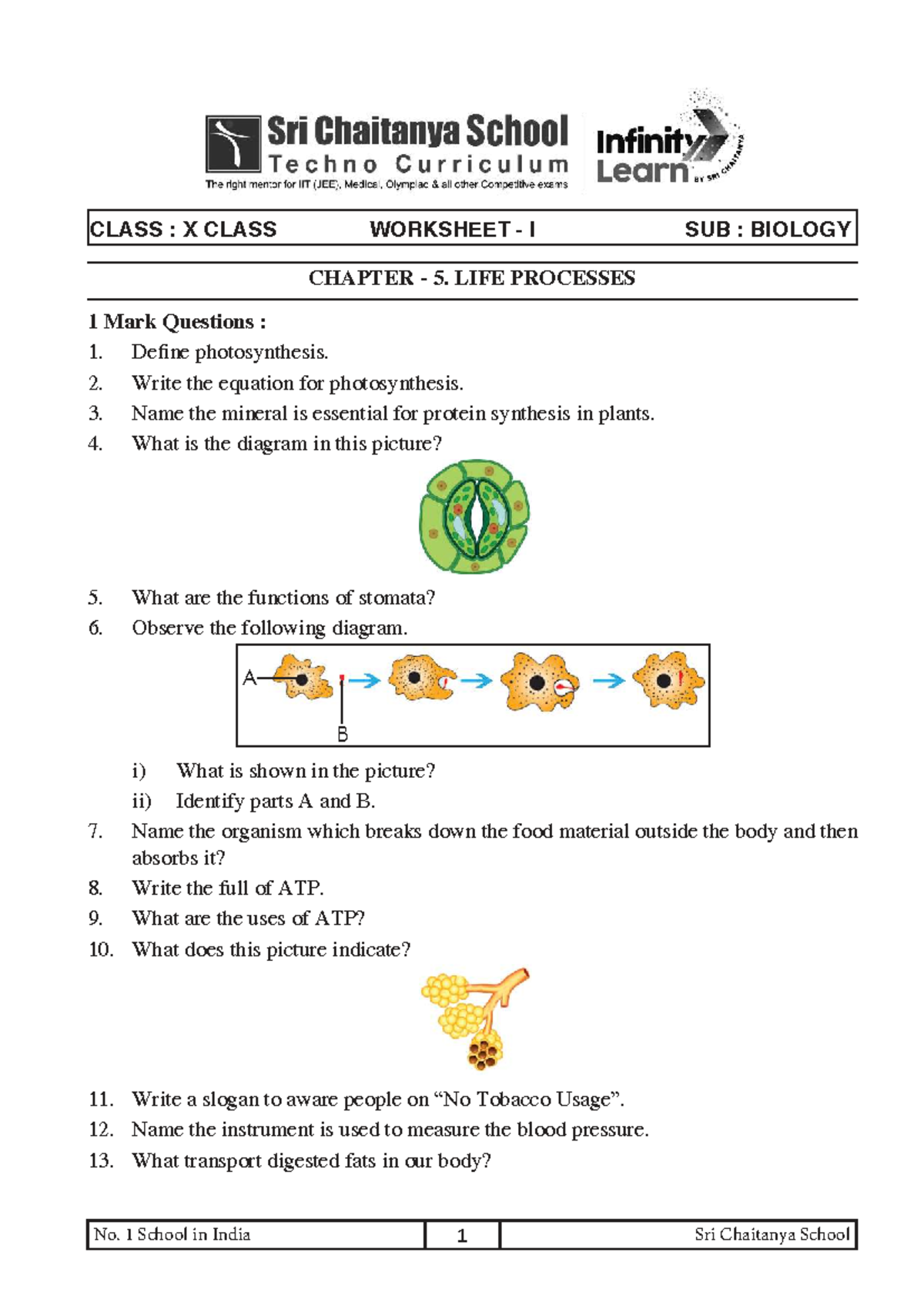 AP - X Class Biology Worksheet: Life Processes & Control Coordination ...