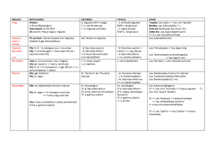 Hoofdstuk 2: De Mondholte en Spieren - Anatomie en Functies - Studocu