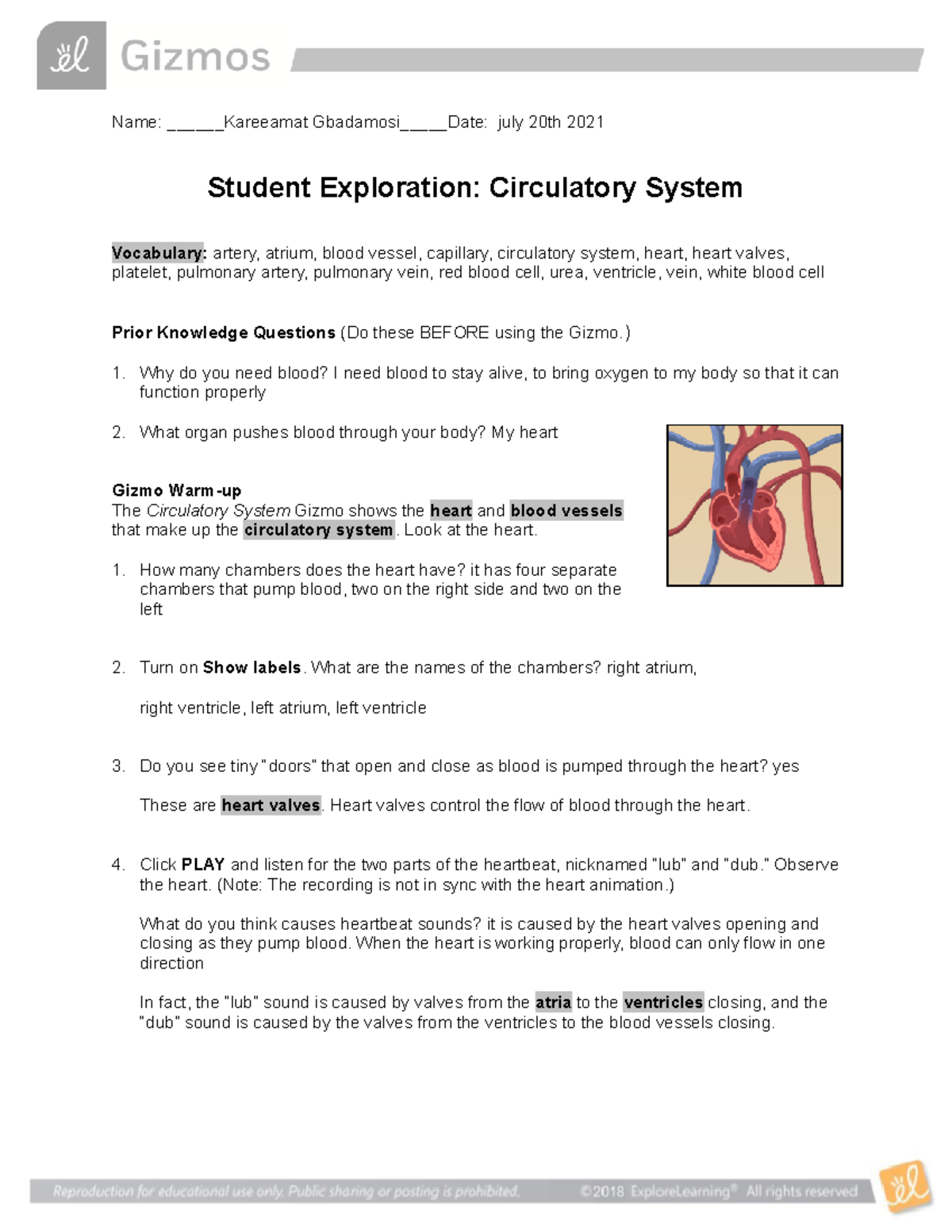Circulatory System Exploration: Gizmo Activity Notes for SE 2021 - Studocu