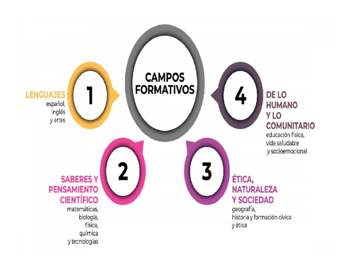 Materias POR Campo Formativo - CAMPOS 1 FORMATIVOS LENGUAJES 4 DE LO ...