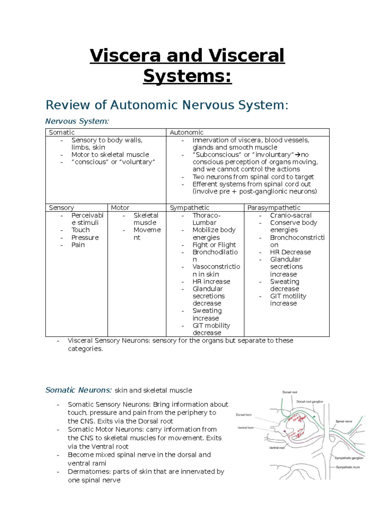 Viscera and Visceral Systems: Overview of the Autonomic Nervous System ...