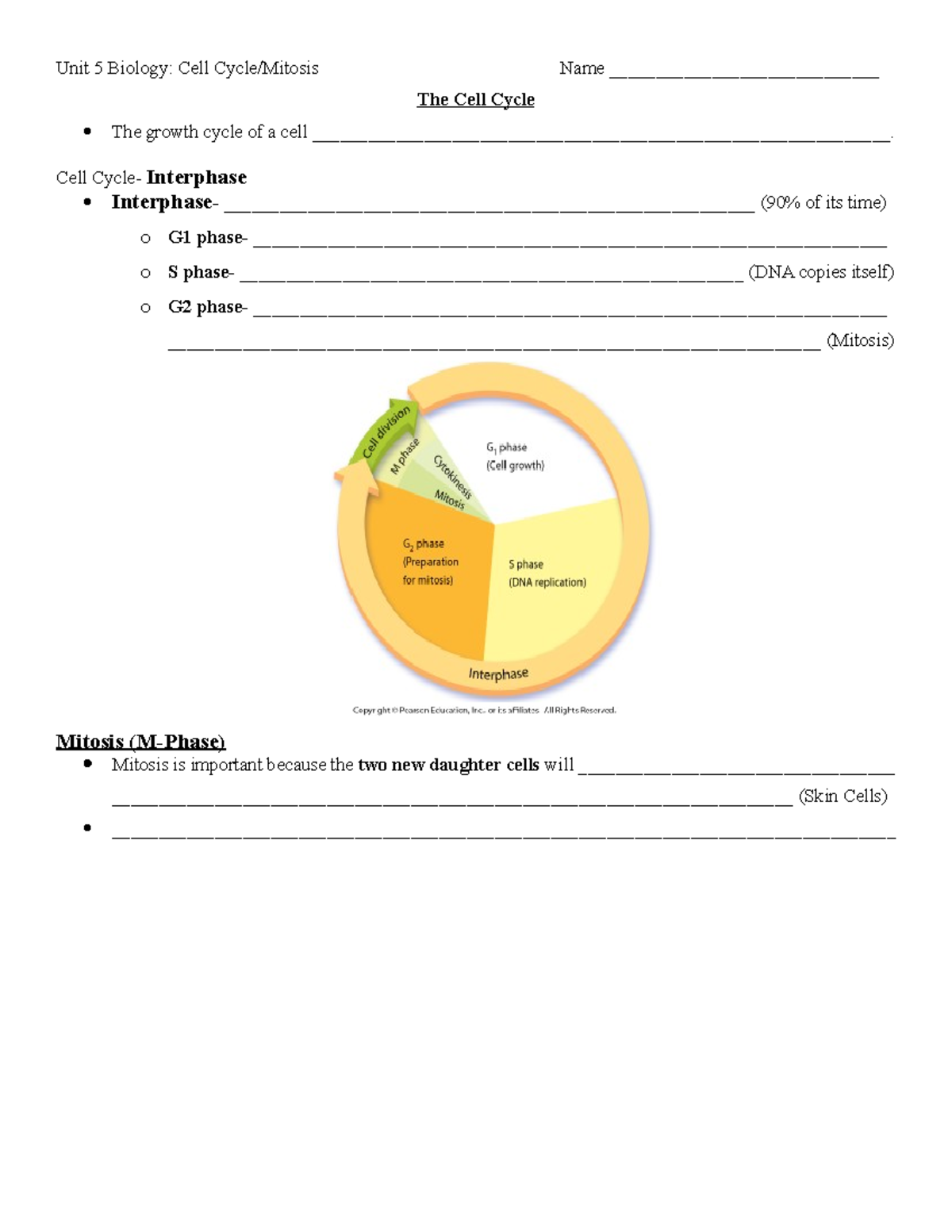 Unit 5 Biology: Cell Cycle & Mitosis Notes - Studocu