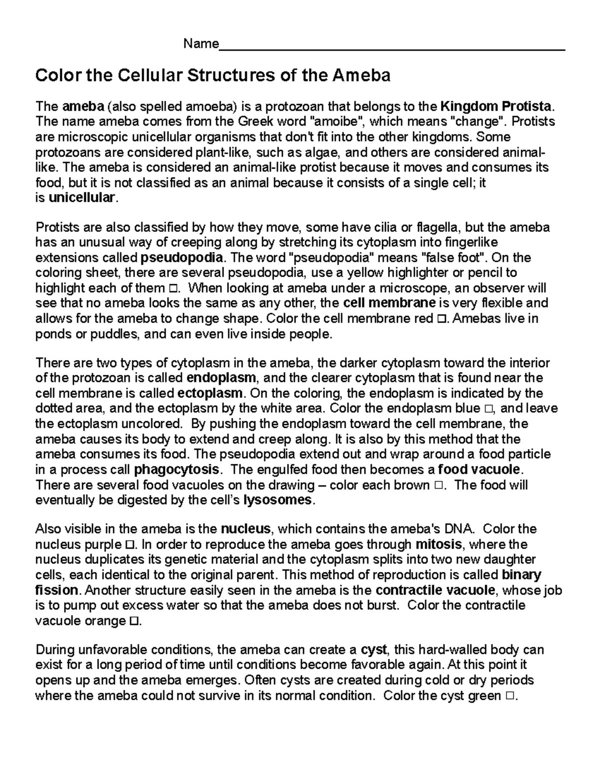 Coloring the Cellular Structures of the Ameba - Studocu