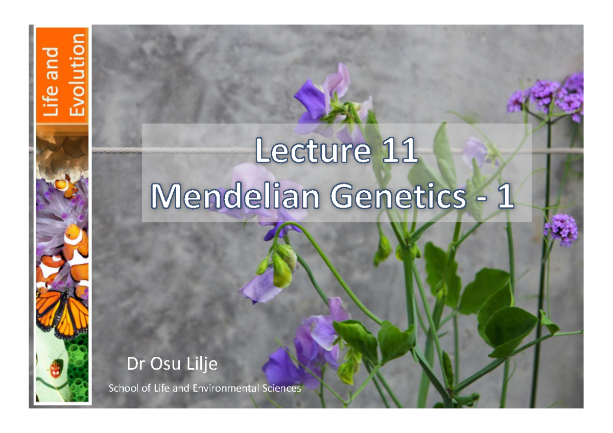 Mendelian Genetics: Mitosis, Meiosis & Inheritance Concepts (BIO101 ...