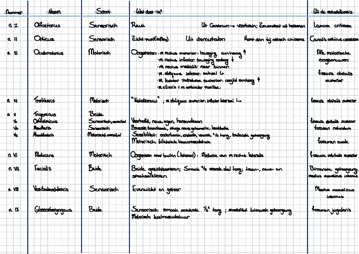 Hersenzenuwen: Functie en Uittredingsplaats - Anatomie en ...
