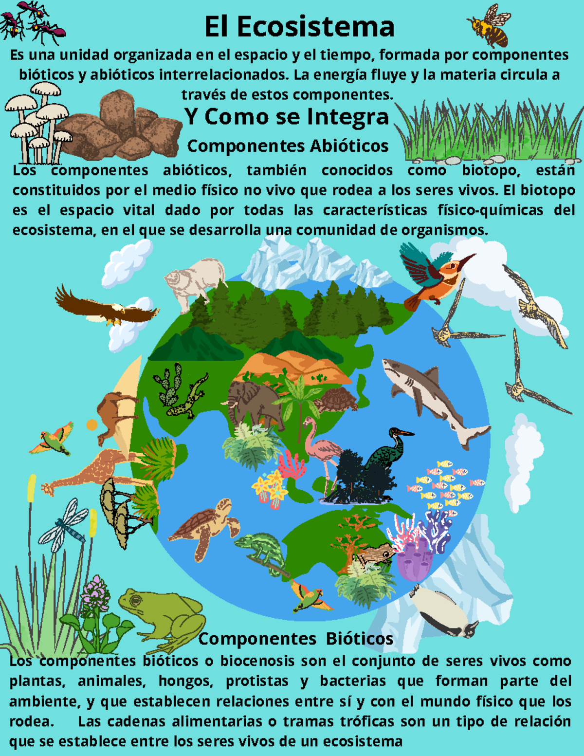 Ecosistemas: Interacción de Componentes Bióticos y Abióticos - Studocu