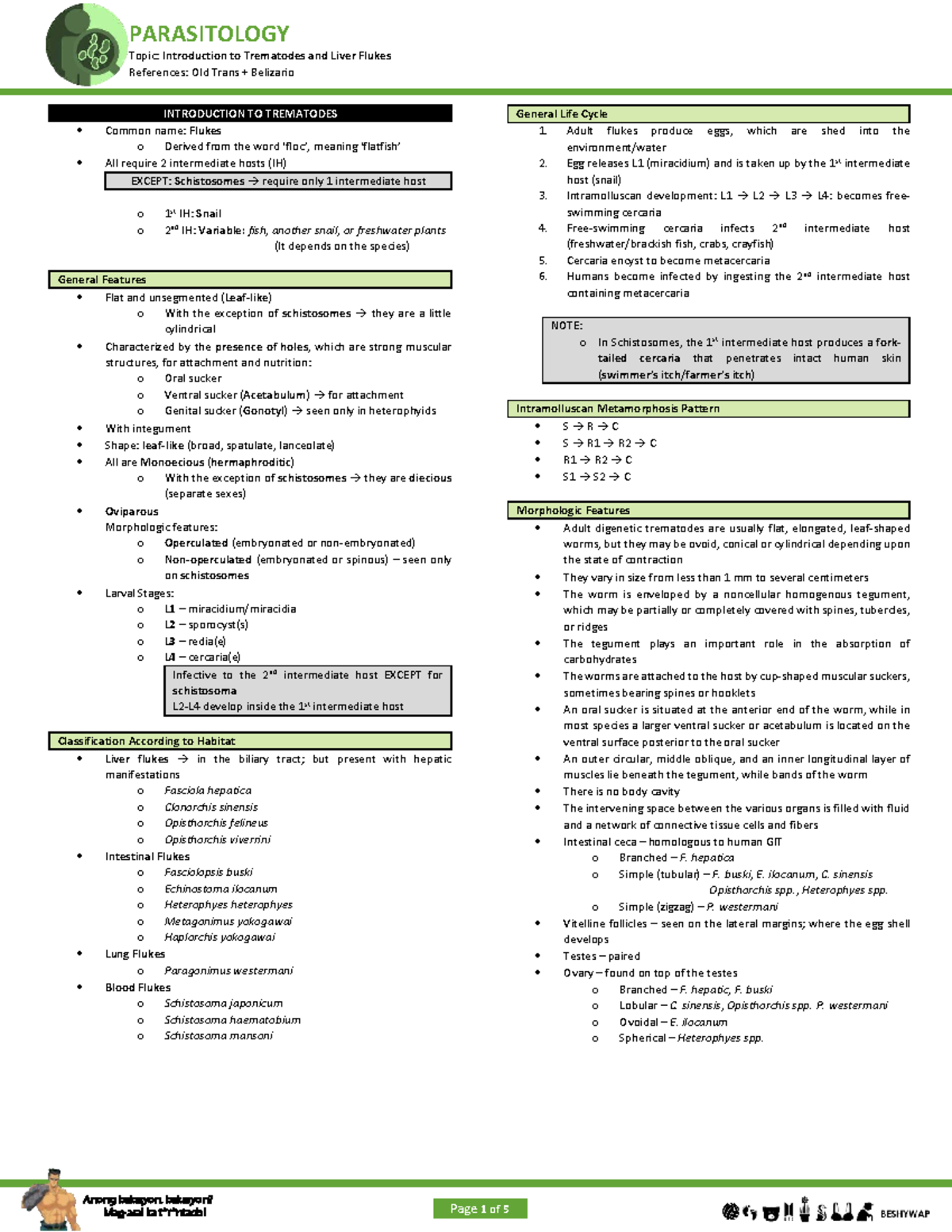 PARASITOLOGY 14: Intro to Trematodes & Liver Flukes Lecture Notes - Studocu