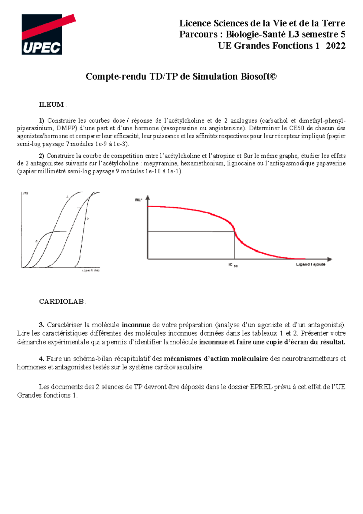 Enoncé du TP cardio lab - Licence Sciences de la Vie et de la Terre ...