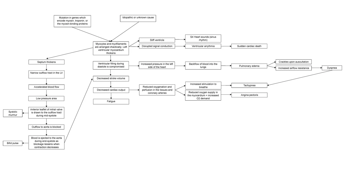Pathophysiology of CAP-MR: Factors, Symptoms & Management Insights ...