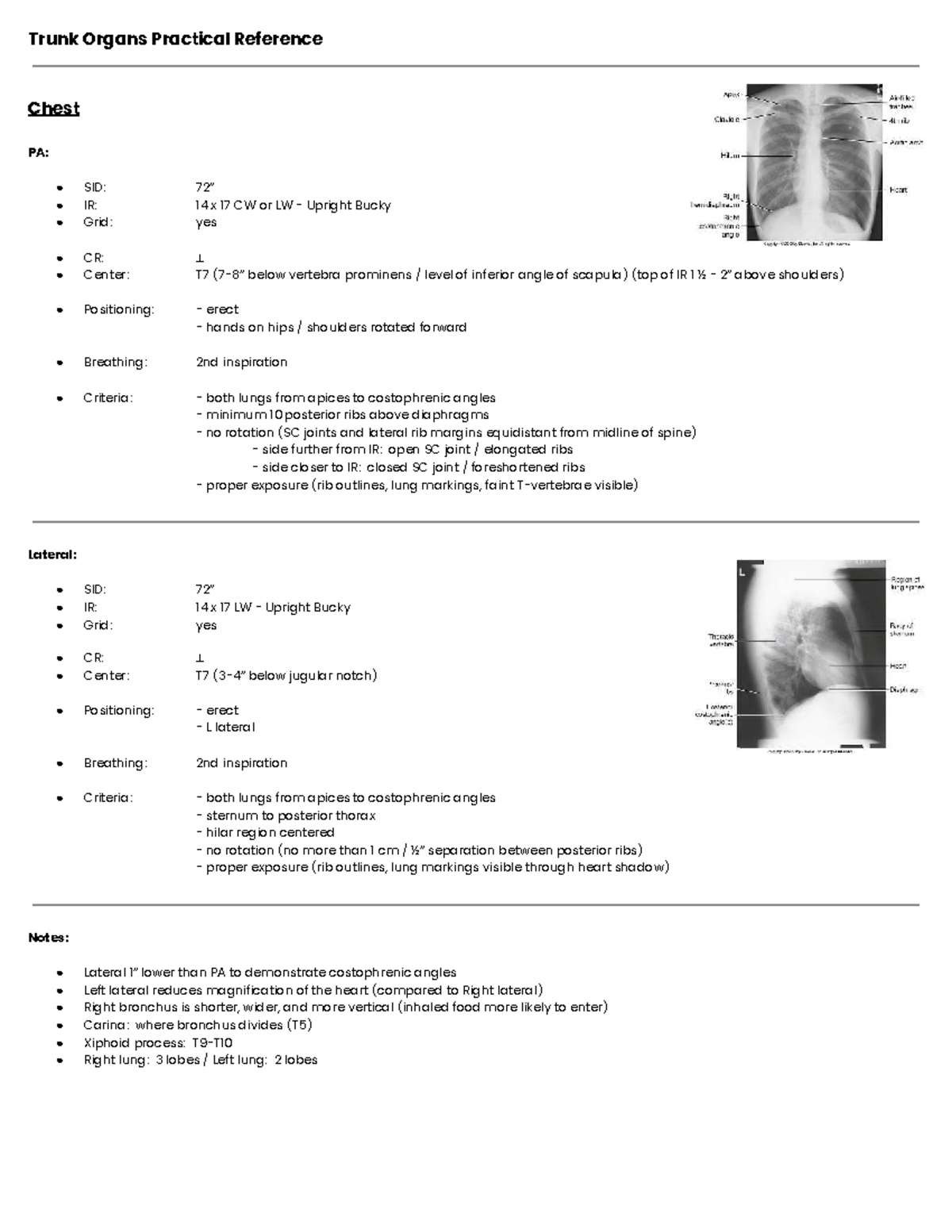 Trunk Organs Practical Reference: Chest & Abdomen Imaging Techniques ...