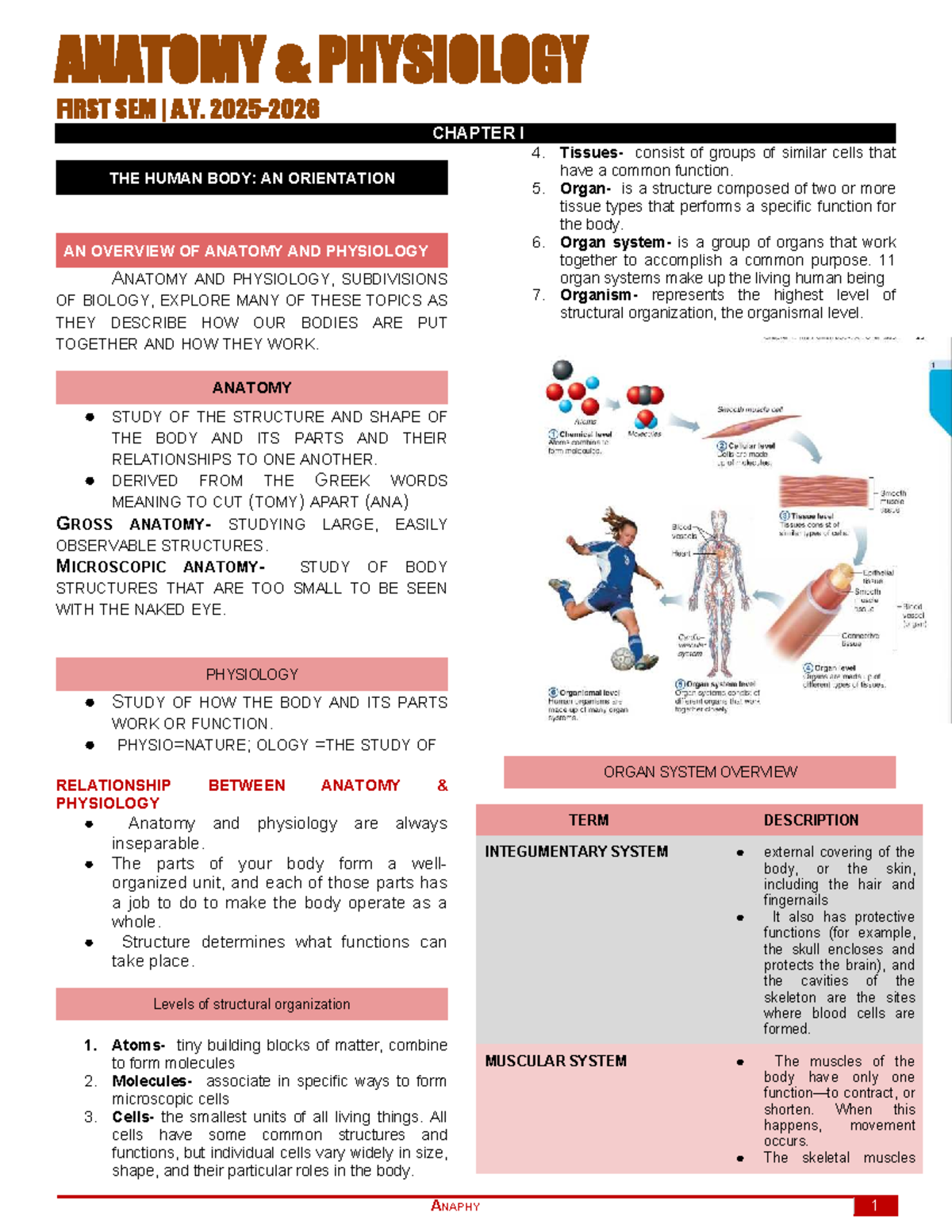 ANATOMY PHYSIOLOGY 1ST SEM A.Y. CHAPTER I: HUMAN BODY OVERVIEW - Studocu