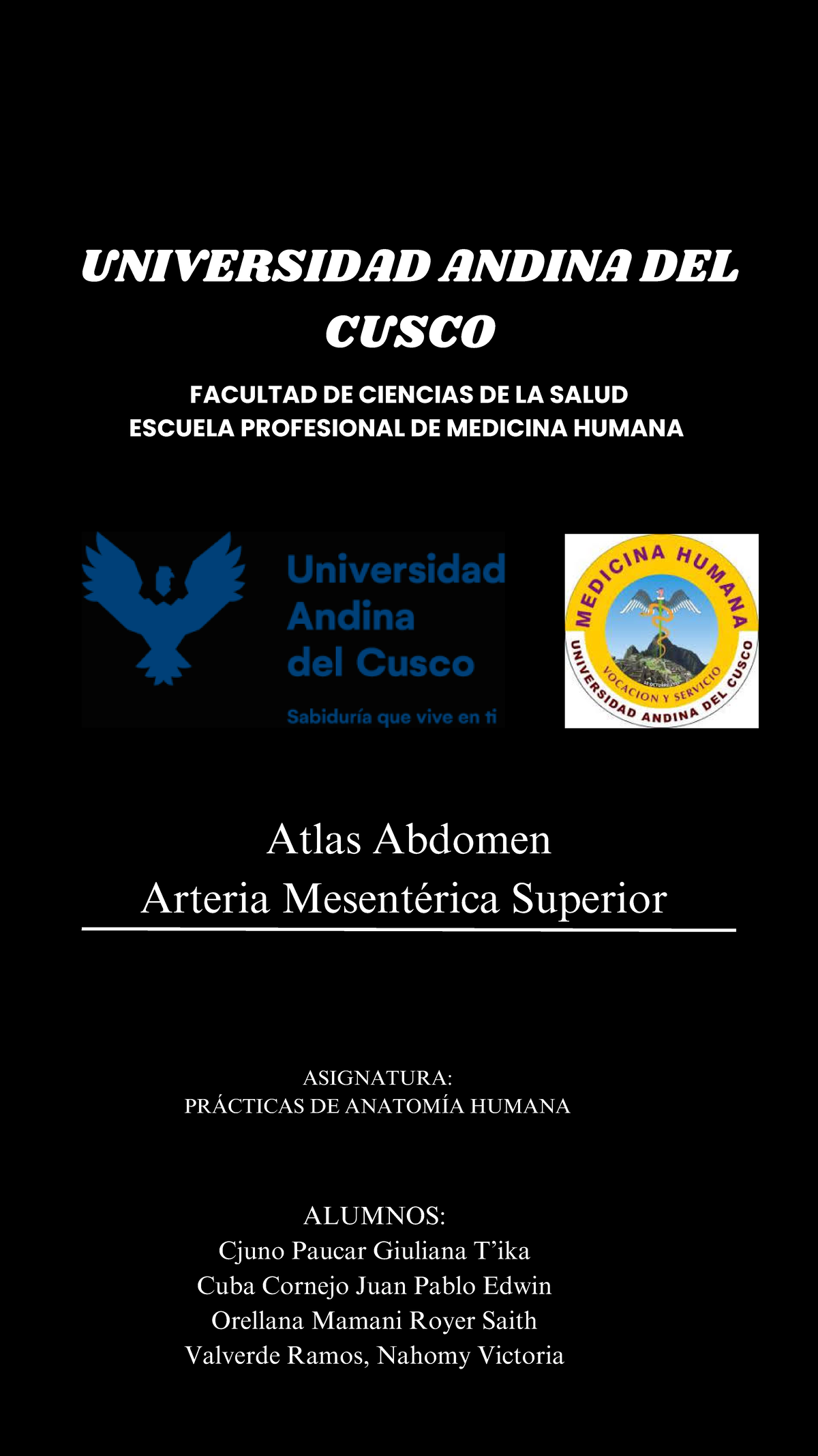 Atlas de la arterias mesenterica superior - Anatomía 1 - UNIVERSIDAD ...