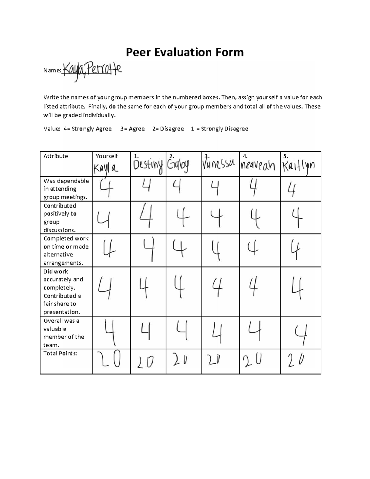 Peer Evaluation Form - Hjbubhubuihbiubu - Peer Evaluation Form Name ...
