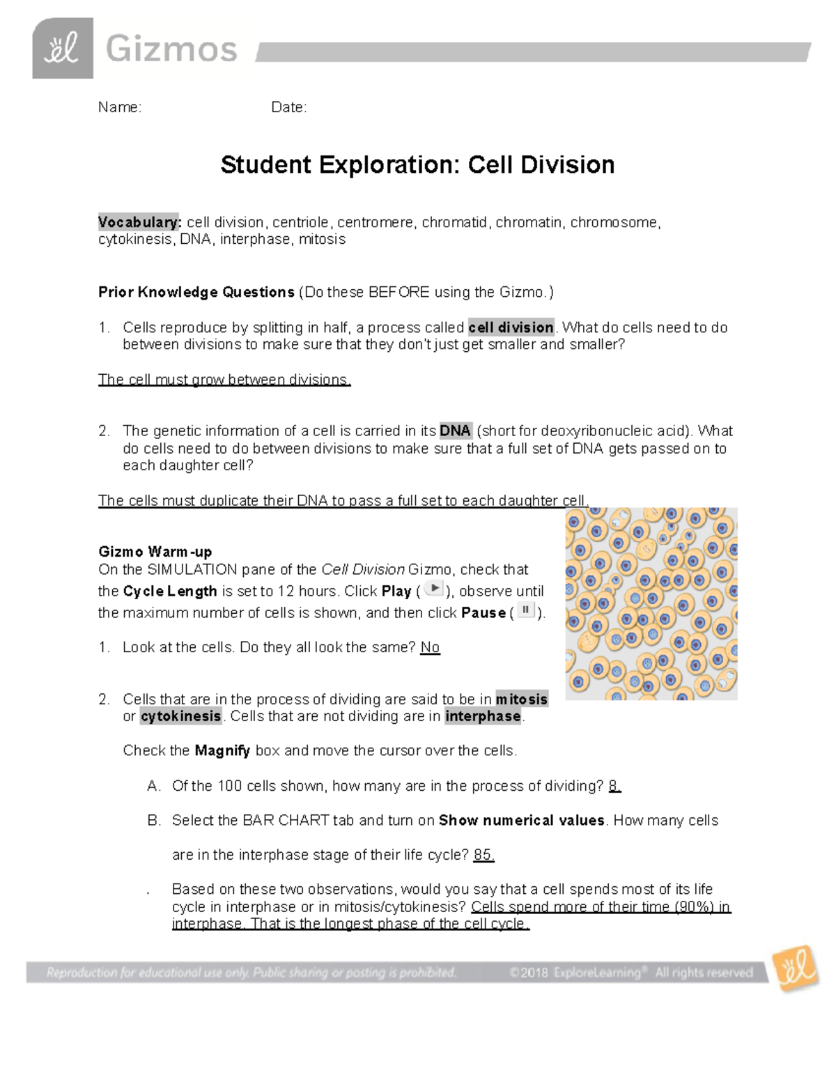 Student Exploration: Cell Division Gizmo Sheet Activity Guide - Studocu