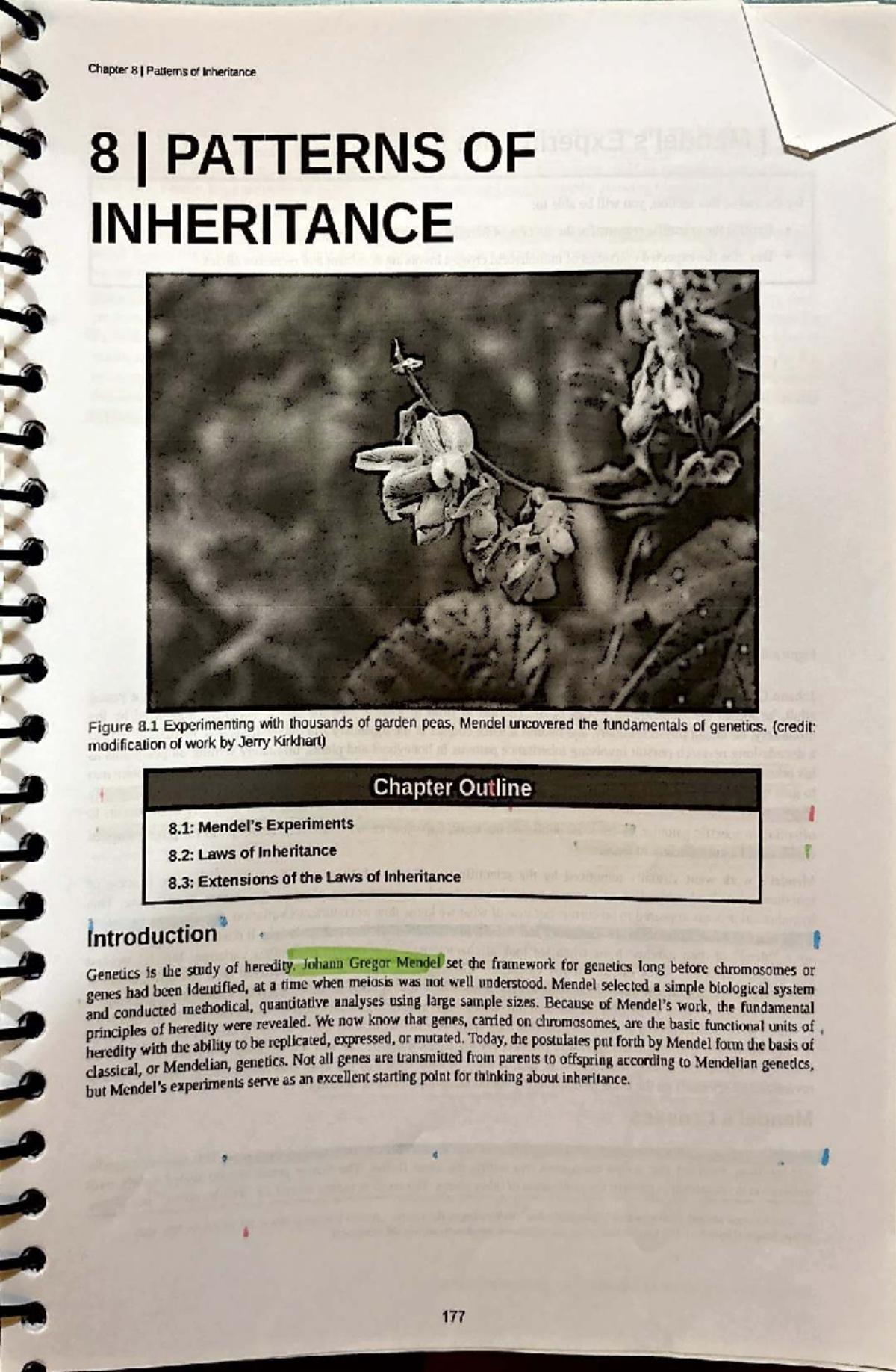 Chapter 8 BIO107 - Patterns of Inheritance: Mendelian Genetics ...