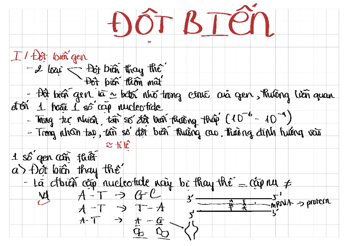 ĐỘT BIẾN - Gene and Chromosome Mutation Study (DET B IeN D6) - Studocu