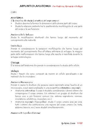 Organi cavi e pieni - ORGANI A livello di organizzazione superiore ...