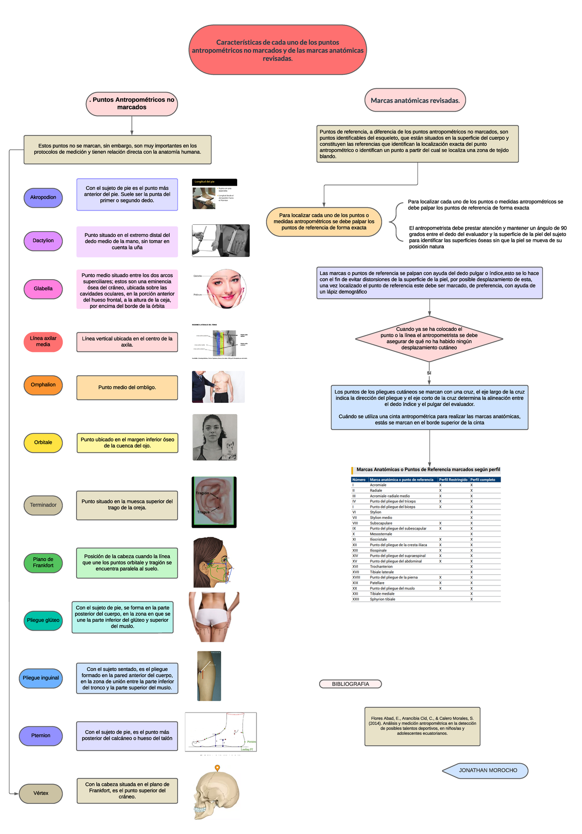 Características y Marcas Anatómicas de Puntos Antropométricos - Studocu