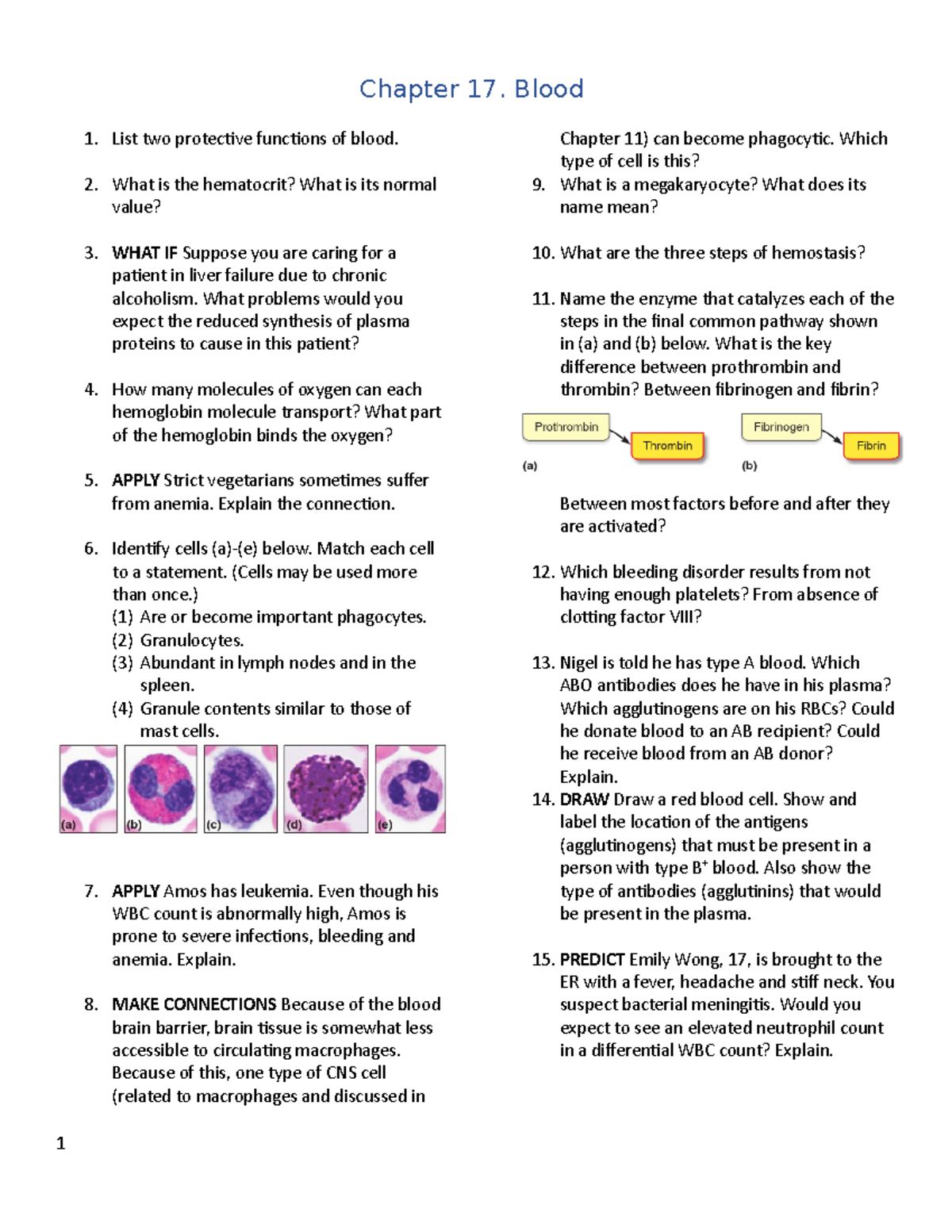 Chapter 17: Blood - Practice Questions and Review - Studocu