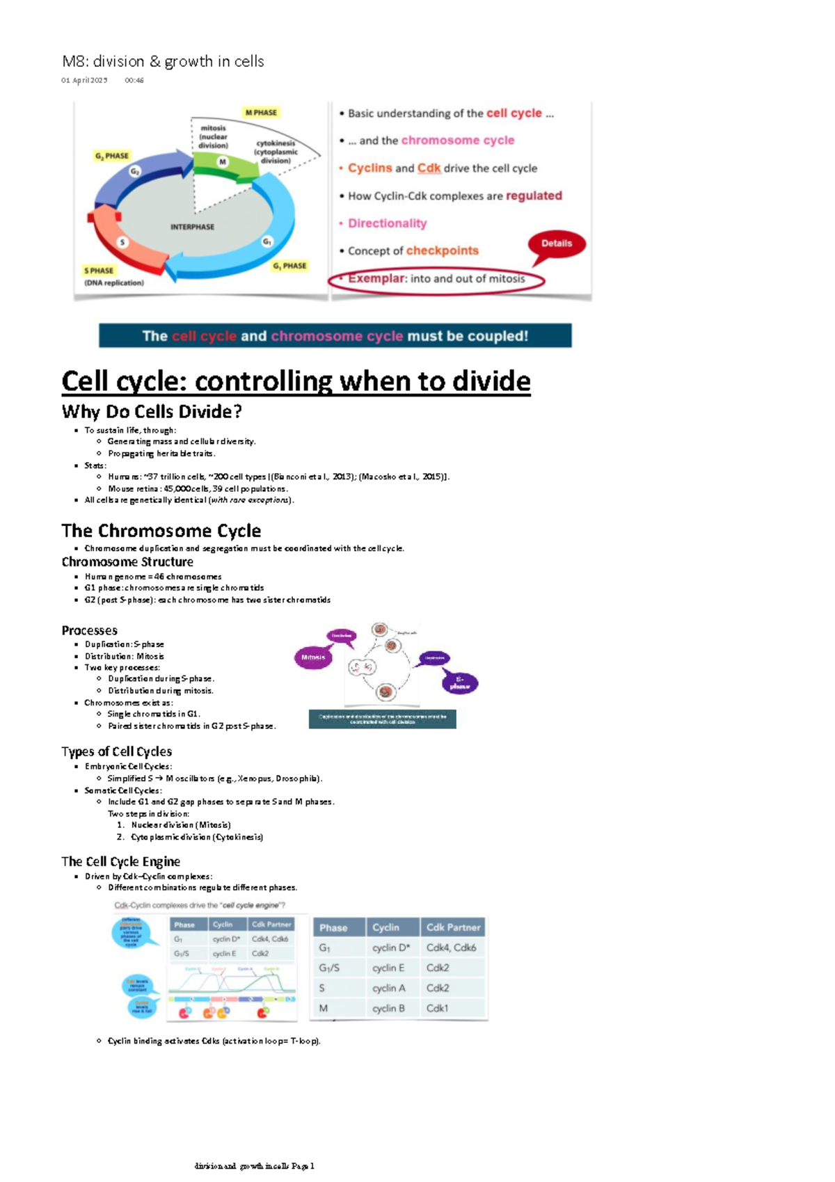 M8: Cell Division and Growth Mechanisms in Biology - Studocu
