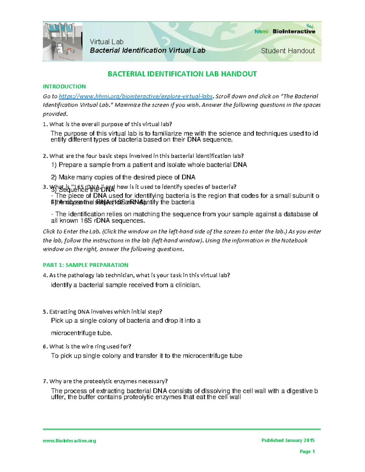 Bacterial Identification Virtual Lab - BioInteractive Published January ...
