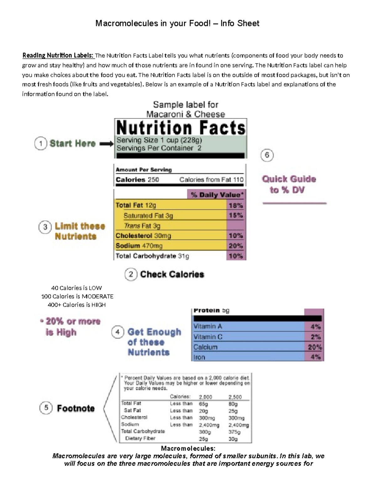Macromolecules in Your Food Lab - Nutrition Analysis Guide - Studocu
