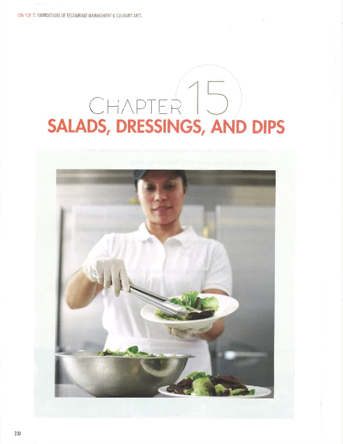 Chapter 15: Salads, Dressings, and Dips Overview - Studocu