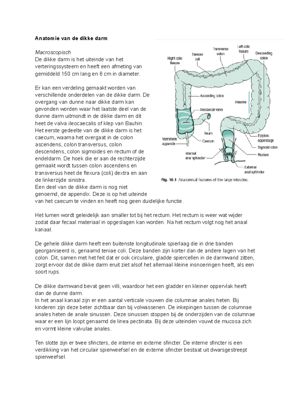 Dunne Darm - Leerdoel Dunne Darm Voor meer plaatjes ter verduidelijk ...