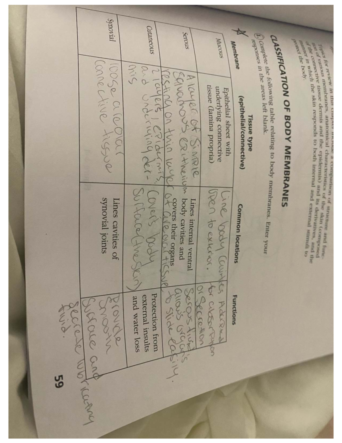 Human Bio Workbook 2: Anatomy & Physiology Assignments - Studocu