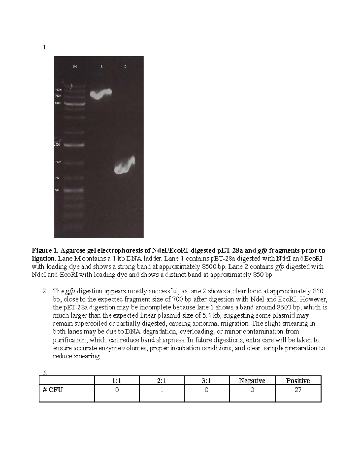 W26 Lab Assignment 3: Analysis of Agarose Gel Electrophoresis Results ...