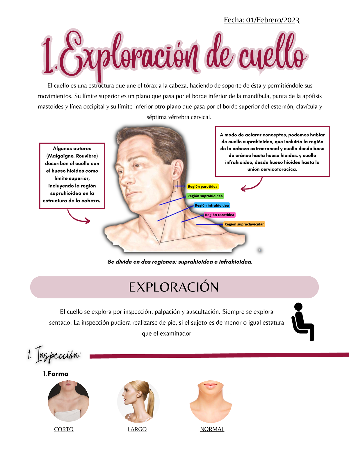Exploración de cuello - El cuello es una estructura que une el tórax a la cabeza, haciendo de ...