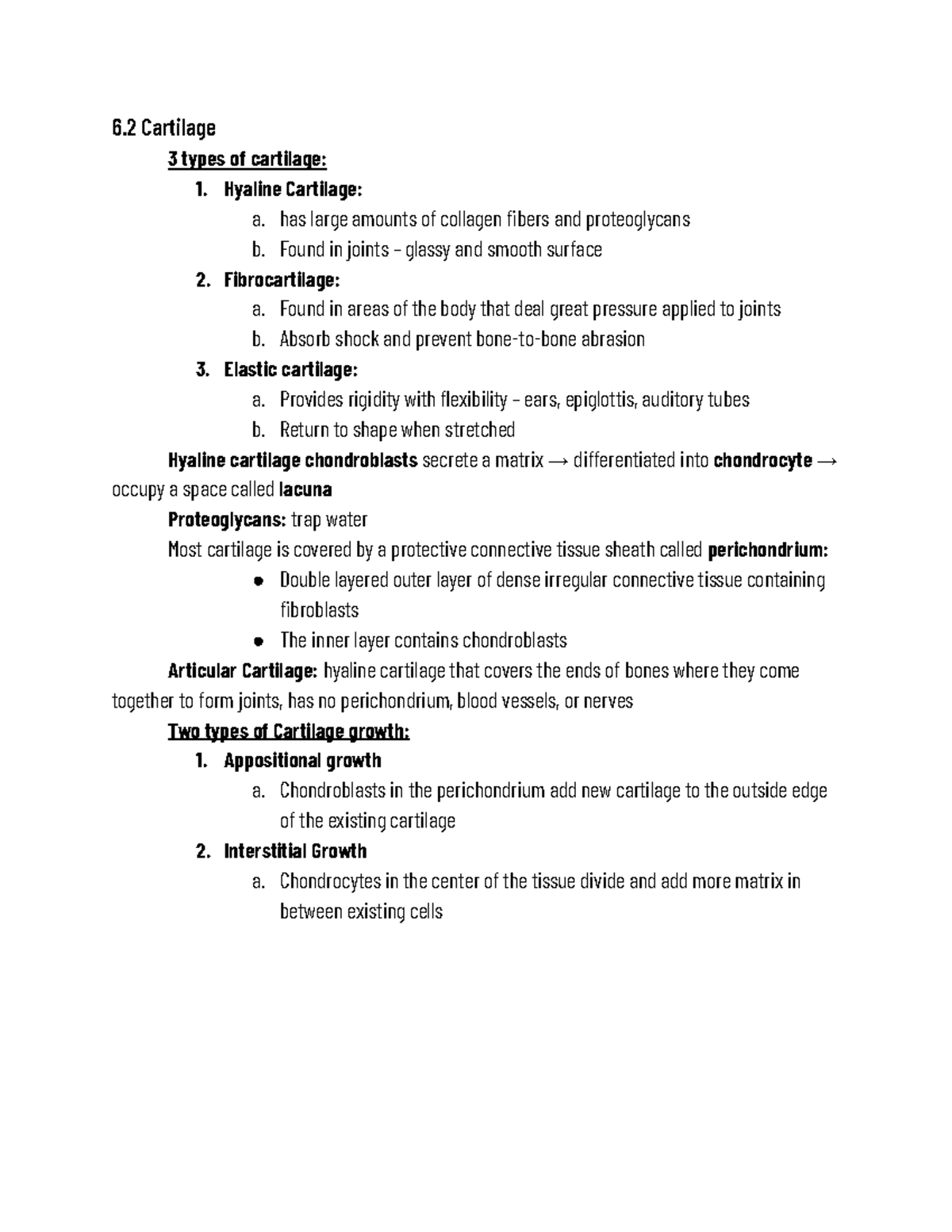 Ch 6 Anatomy Physiology Of The Skeletal System Overview Studocu