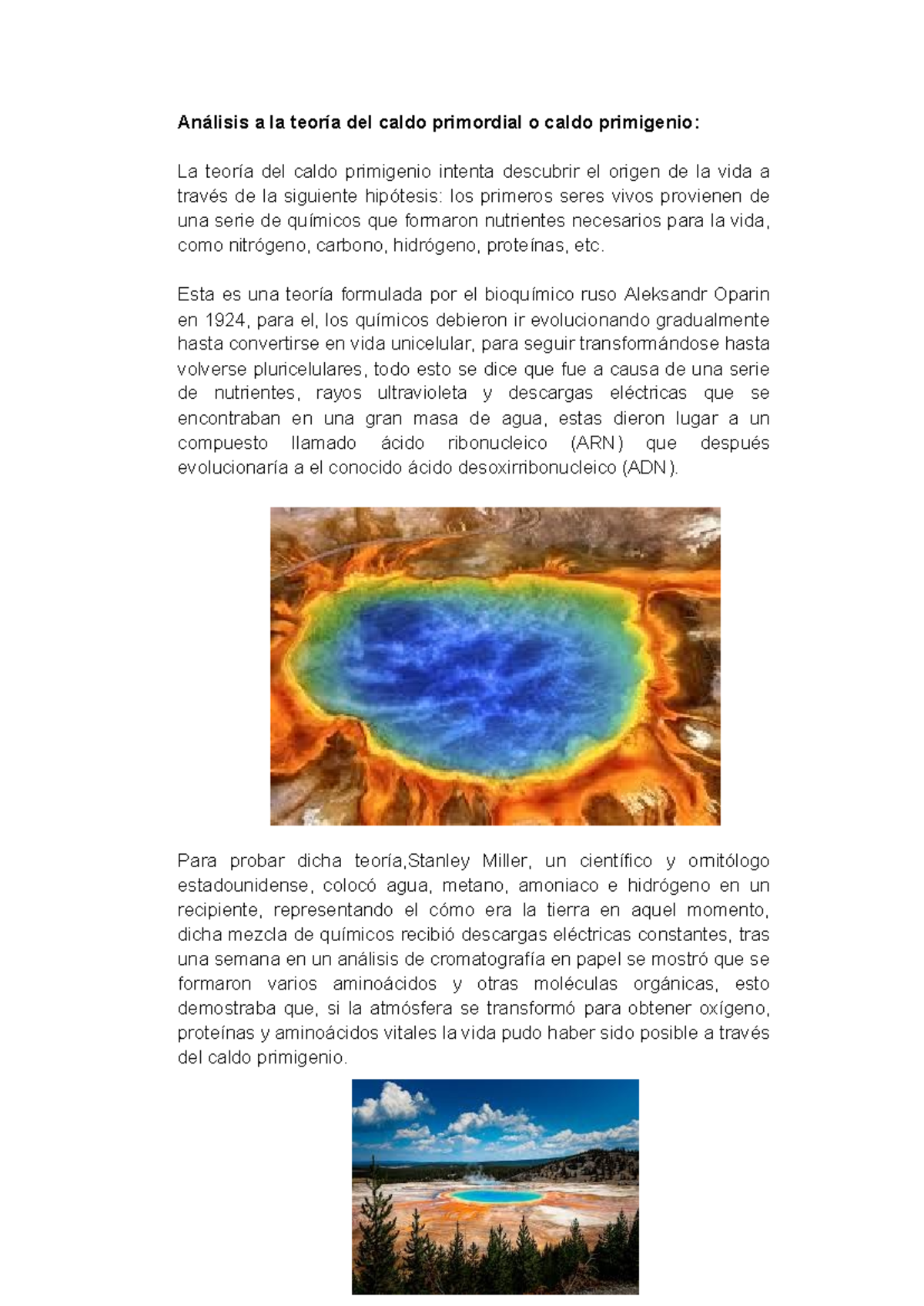 Teoría del Caldo Primordial: Análisis Crítico y Experimentos Clave ...