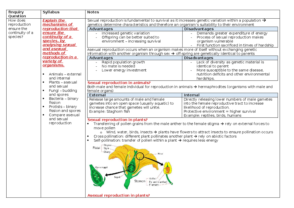 BIO MOD1 Heredity: Mechanisms of Reproduction and Genetic Continuity ...