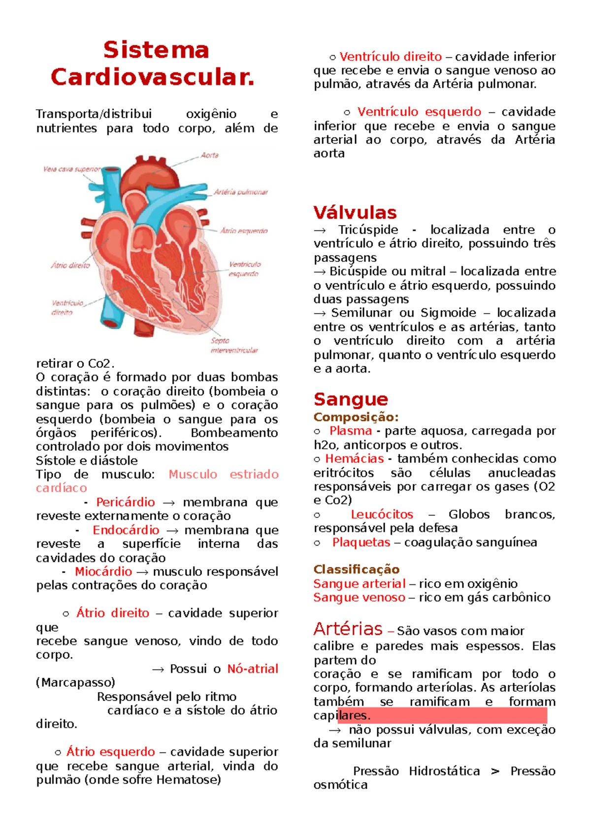 Resumo do Sistema Cardiovascular - Estruturas e Funções - Studocu