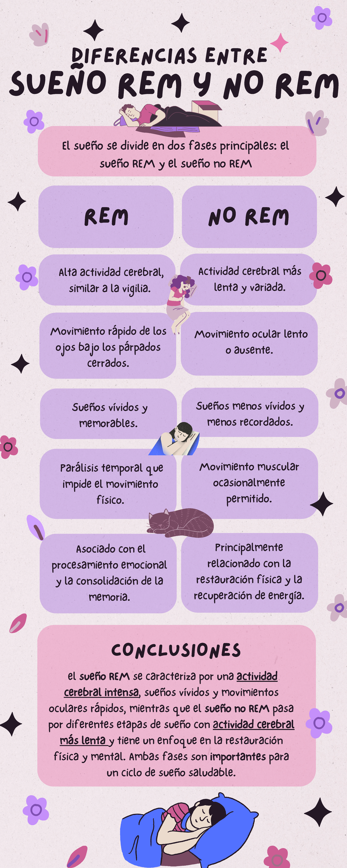 Sueño REM y NO REM: Características y Diferencias Clave - Studocu