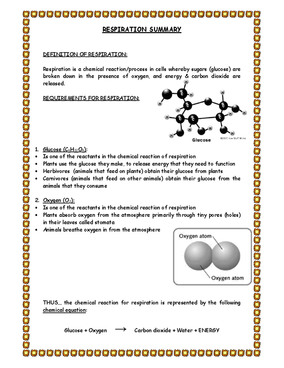 Gr 8 NS Final Exam Respiration Summary and Key Concepts - Studocu