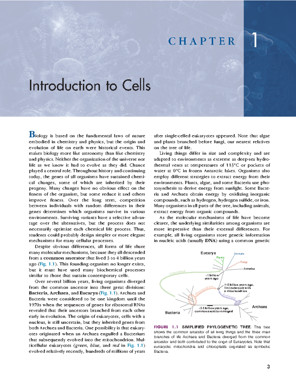 Chapter-1-Introduction-to-Cells 2017 Cell-Biology - 3 C H A P T E R ...