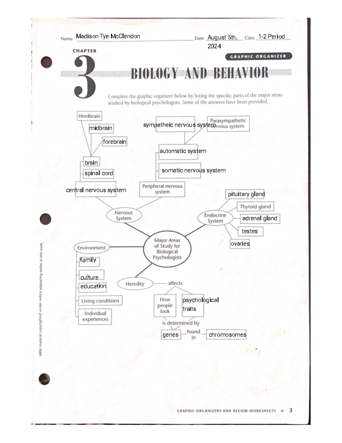 Kami Export - Chapter 3 Graphic Organizer - Studocu