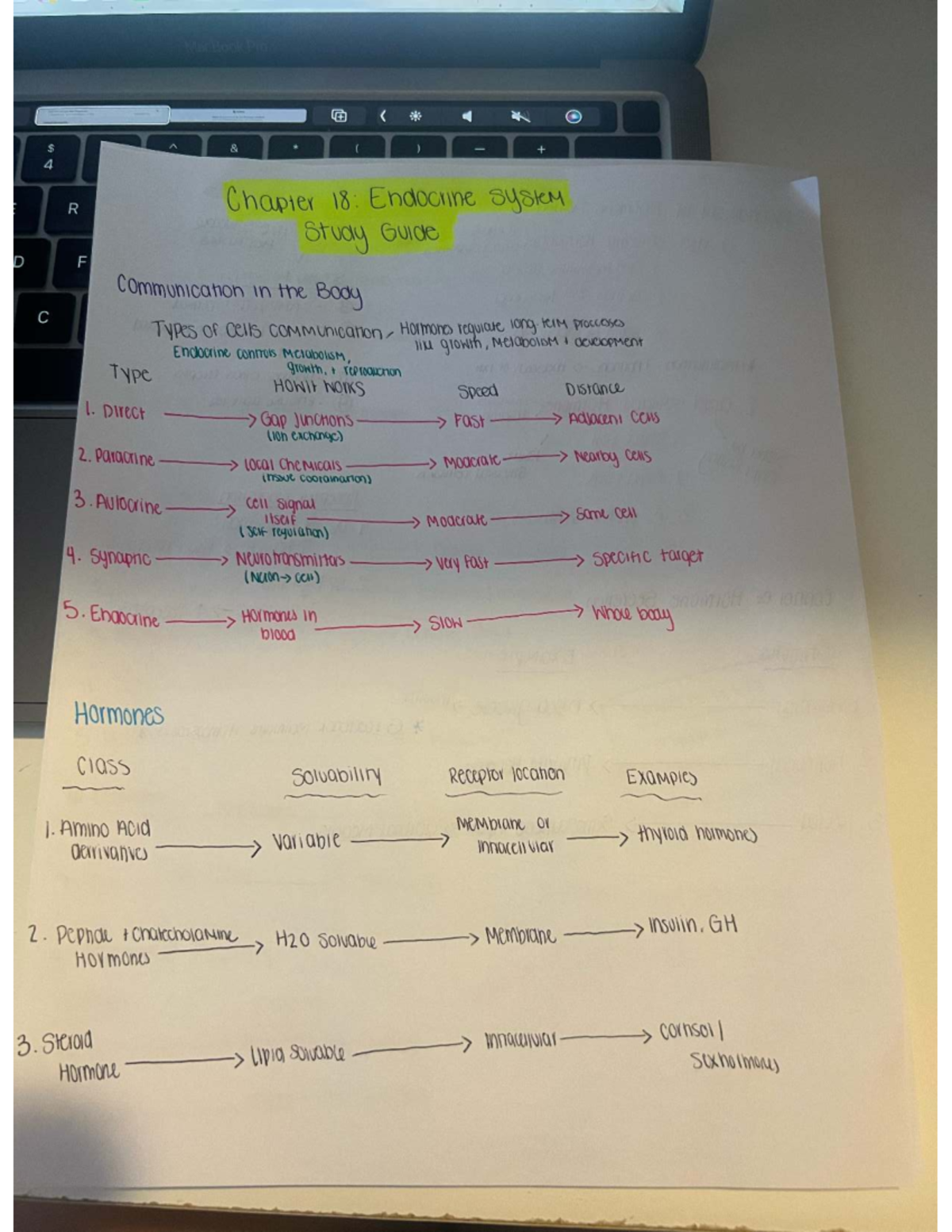 Chapter 18: Endocrine System Study Guide (F) - Studocu
