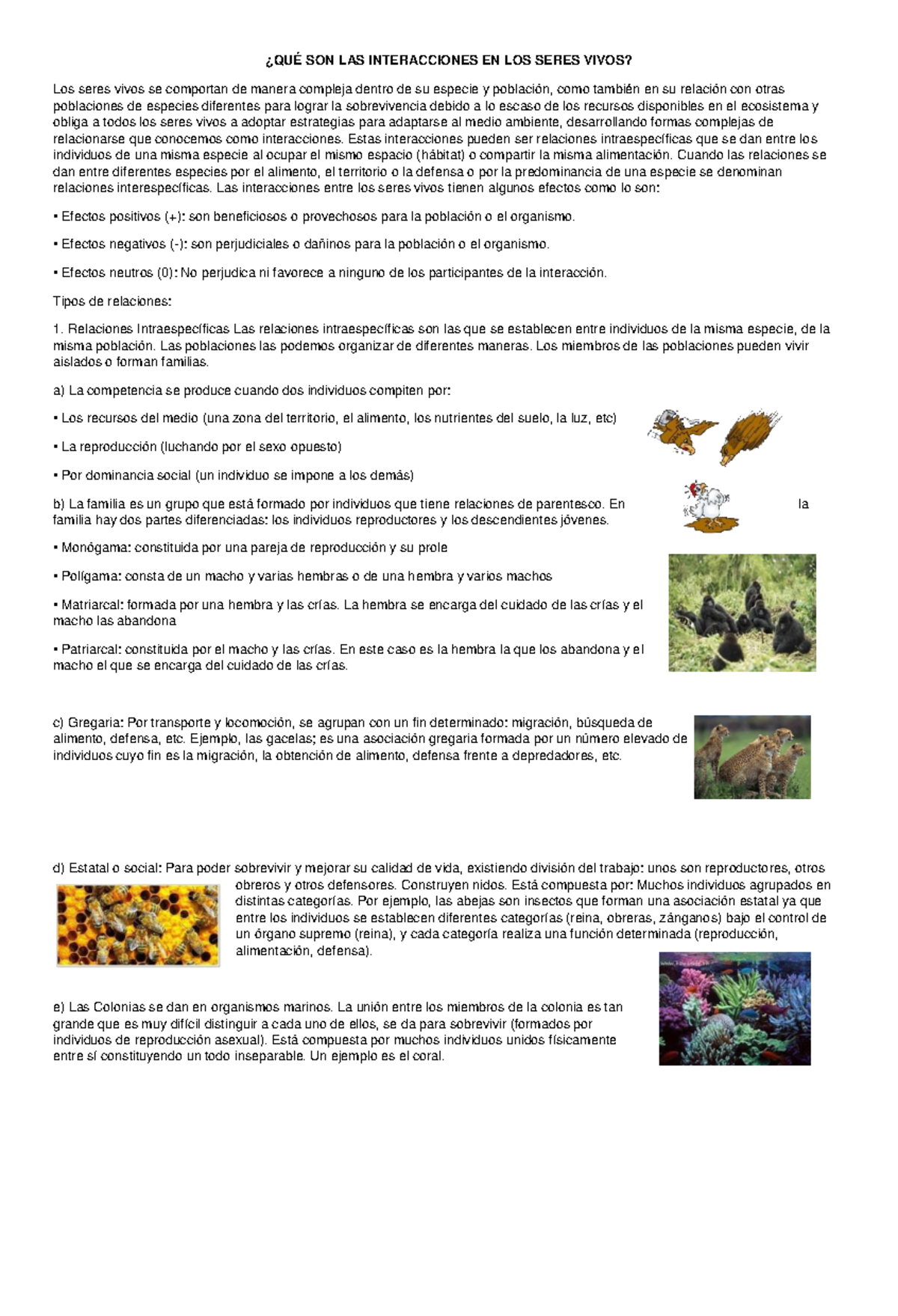 Relaciones en los Ecosistemas: Interacciones de Seres Vivos - Grado 7 ...