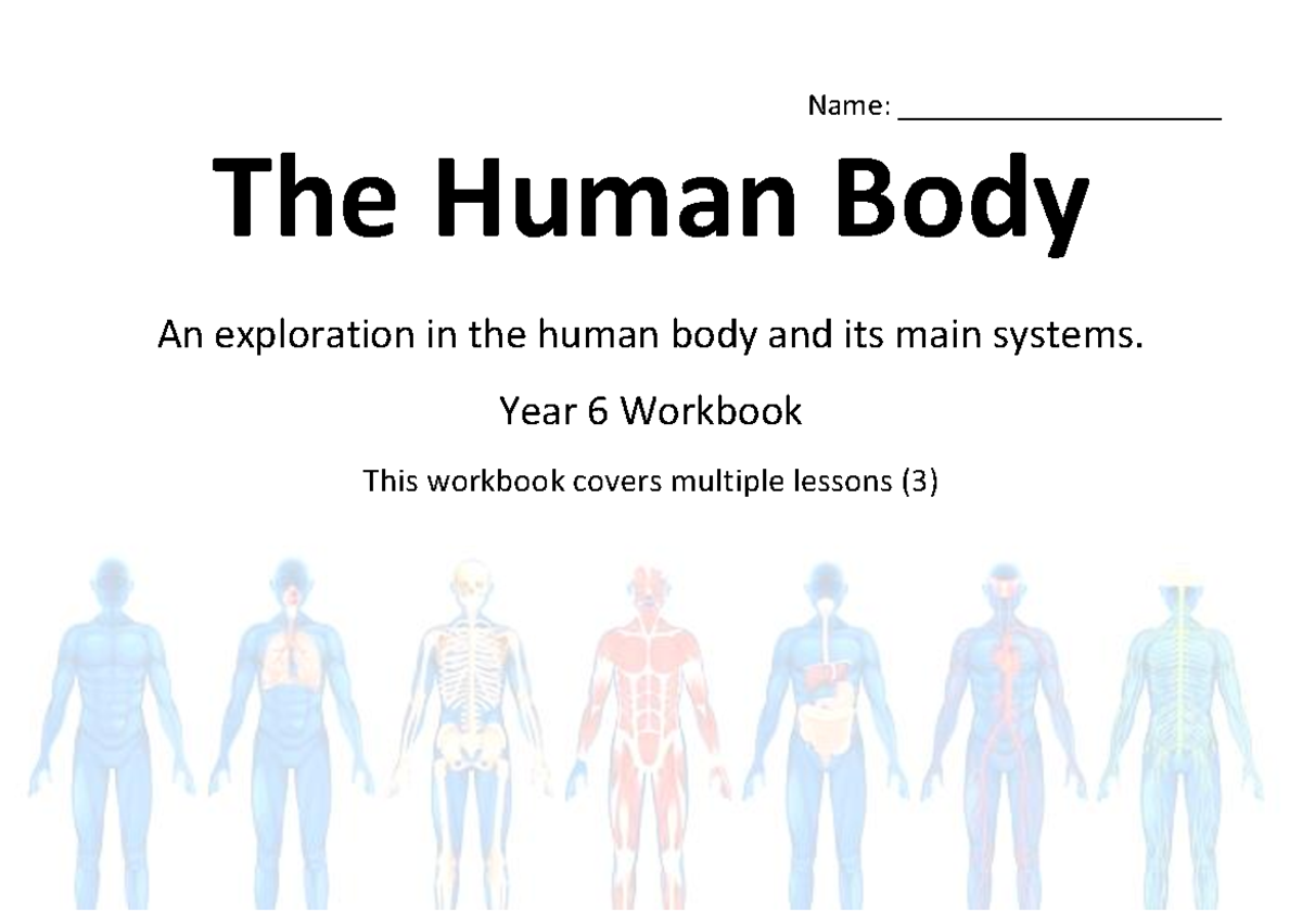 Year 6 Human Body Systems Workbook: Key Functions & Diagrams - Studocu