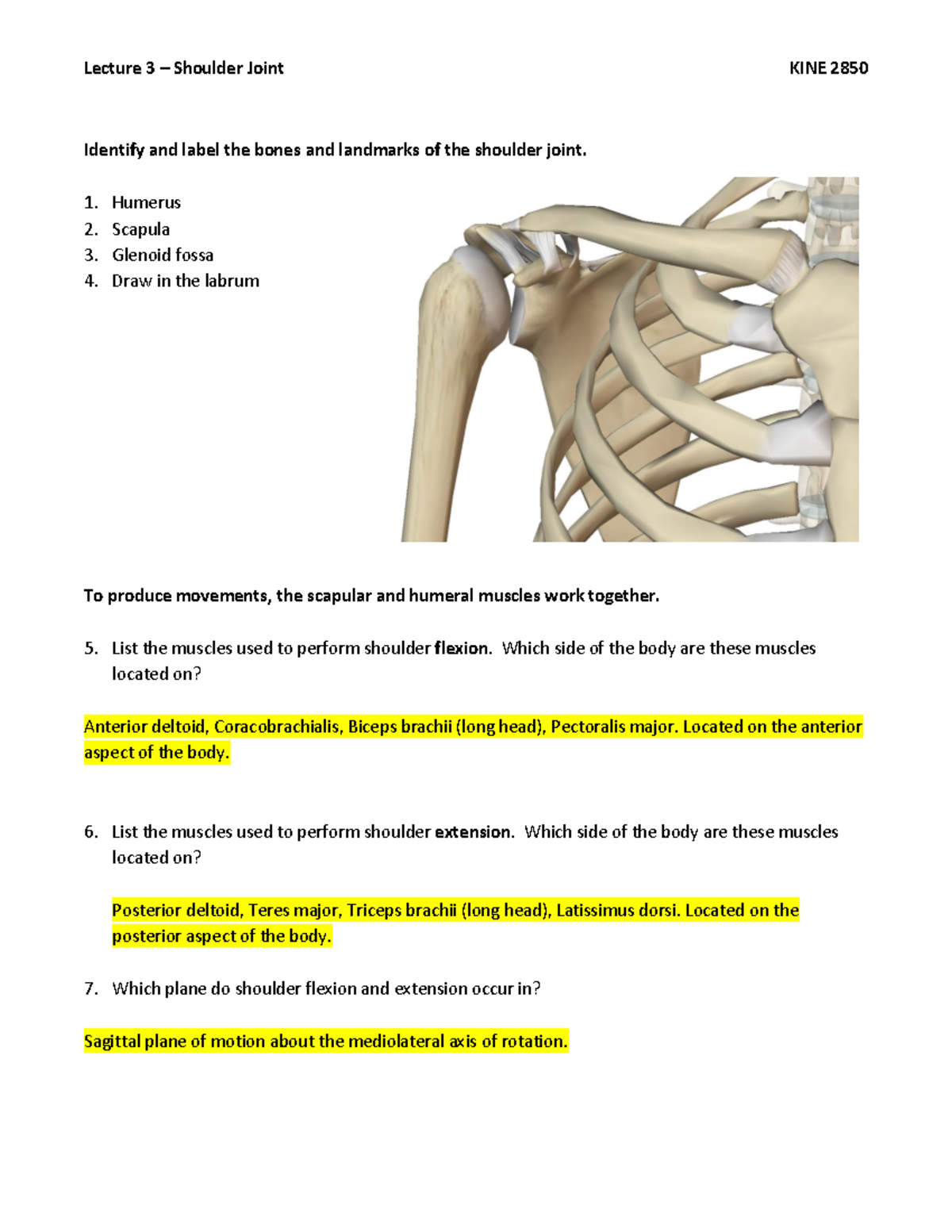 KINE 2850 - 3- Shoulder Joint Worksheet 2017 - Answer Key - Lecture 3 ...