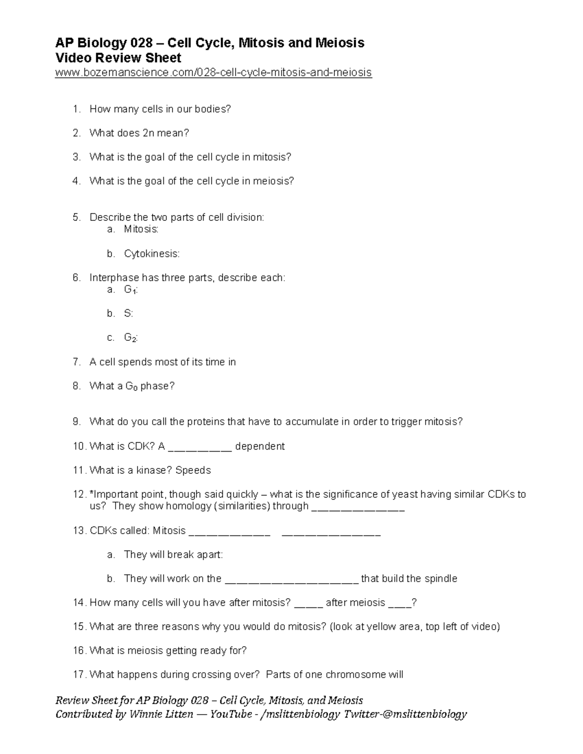 AP Bio-028 Cell Cycle, Mitosis and Meiosis Worksheet-WL - Review Sheet ...